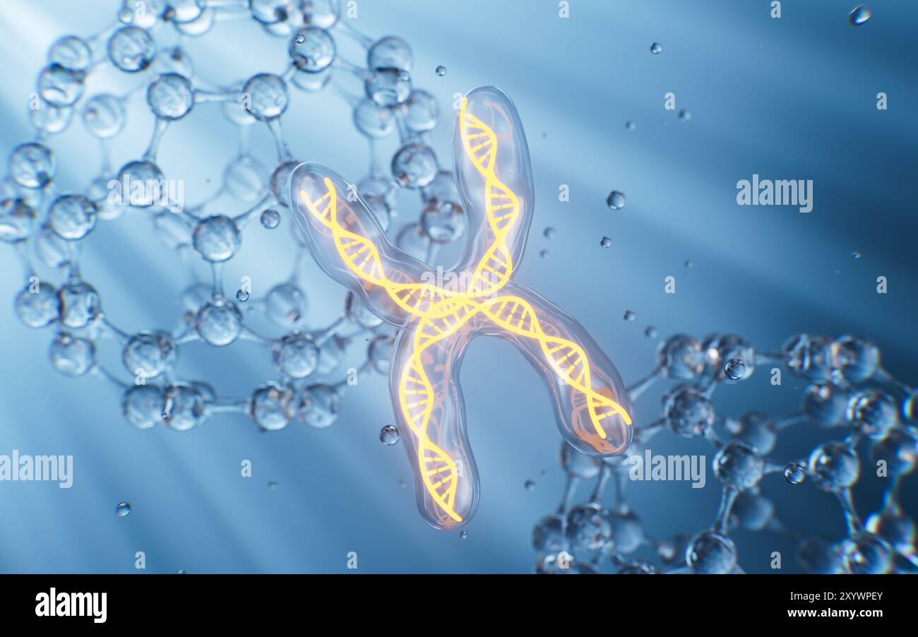 Human genes and chromosomes, 3d rendering. 3d illustration Stock Photo ...