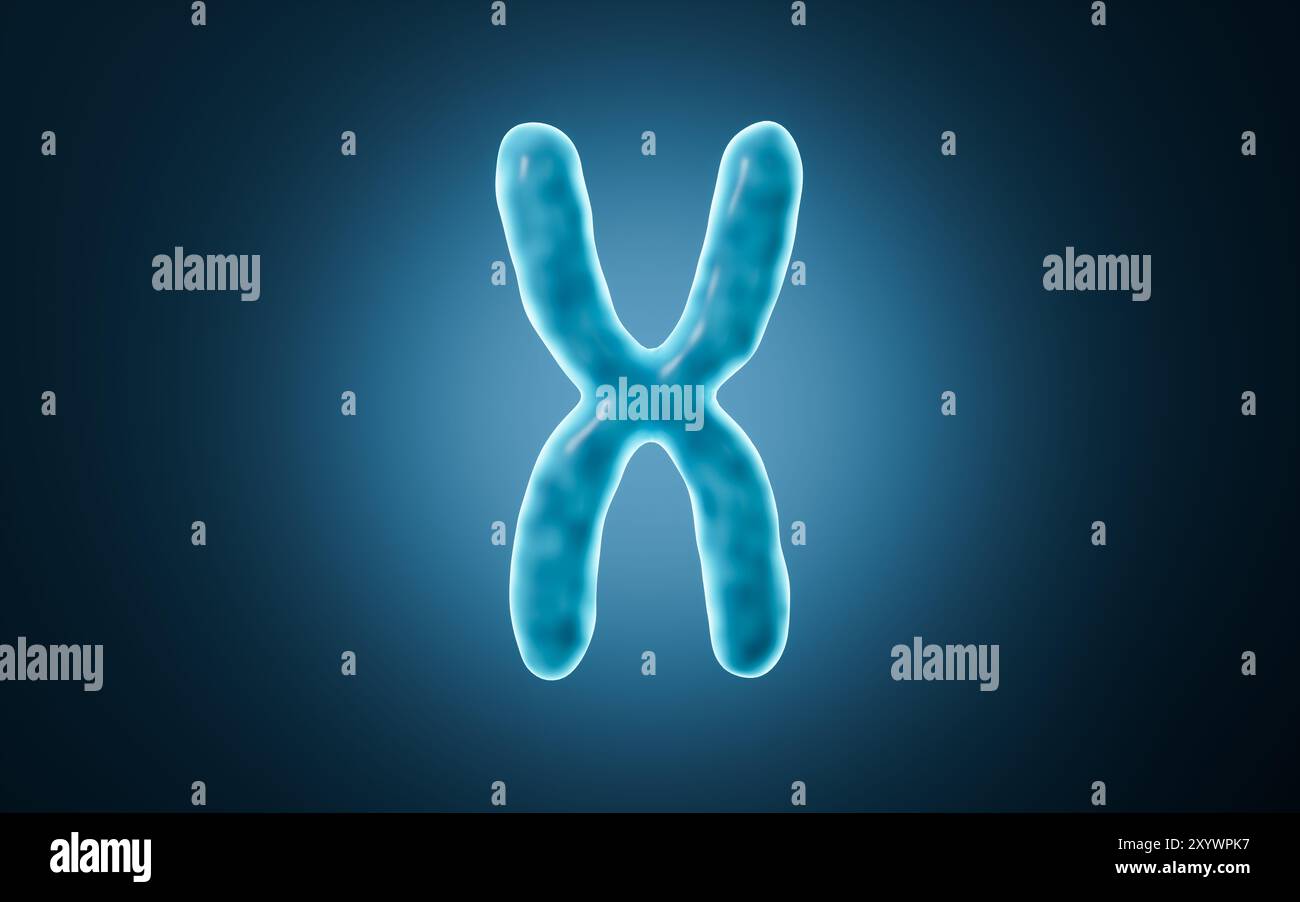 Human genes and chromosomes, 3d rendering. 3d illustration Stock Photo ...