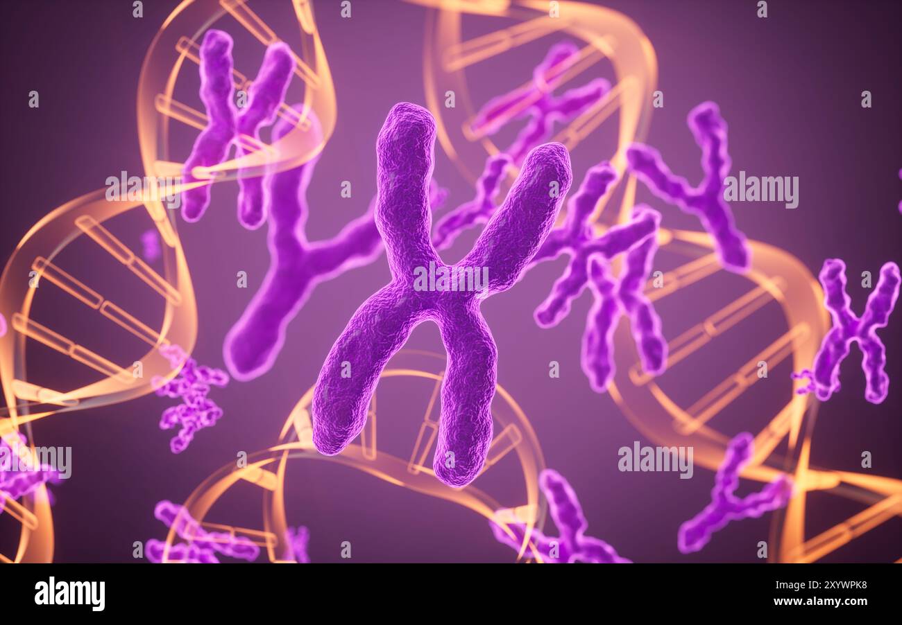 Human genes and chromosomes, 3d rendering. 3d illustration Stock Photo ...
