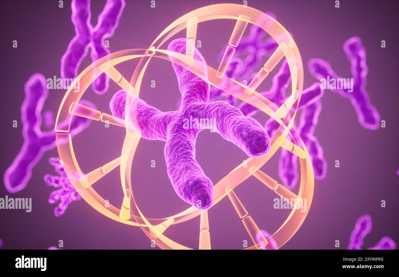 Human genes and chromosomes, 3d rendering. 3d illustration Stock Photo ...