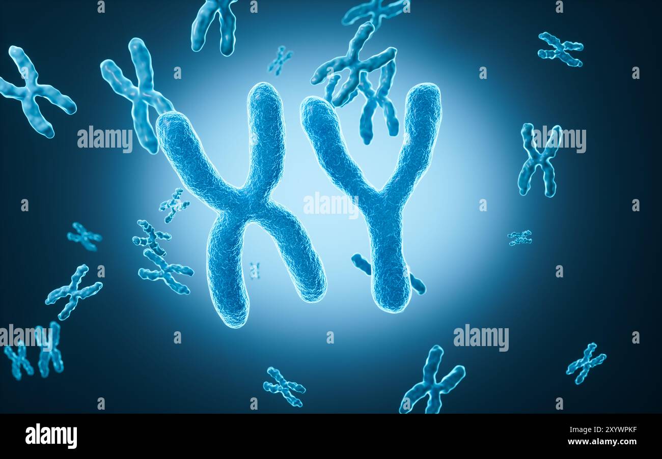 Human genes and chromosomes, 3d rendering. 3d illustration Stock Photo ...