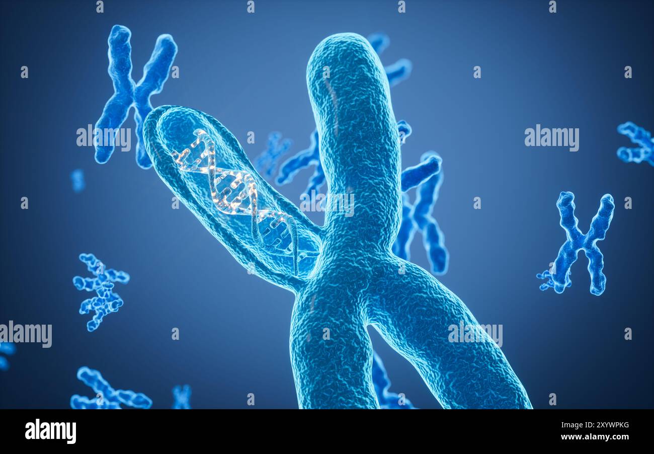 Human genes and chromosomes, 3d rendering. 3d illustration Stock Photo ...