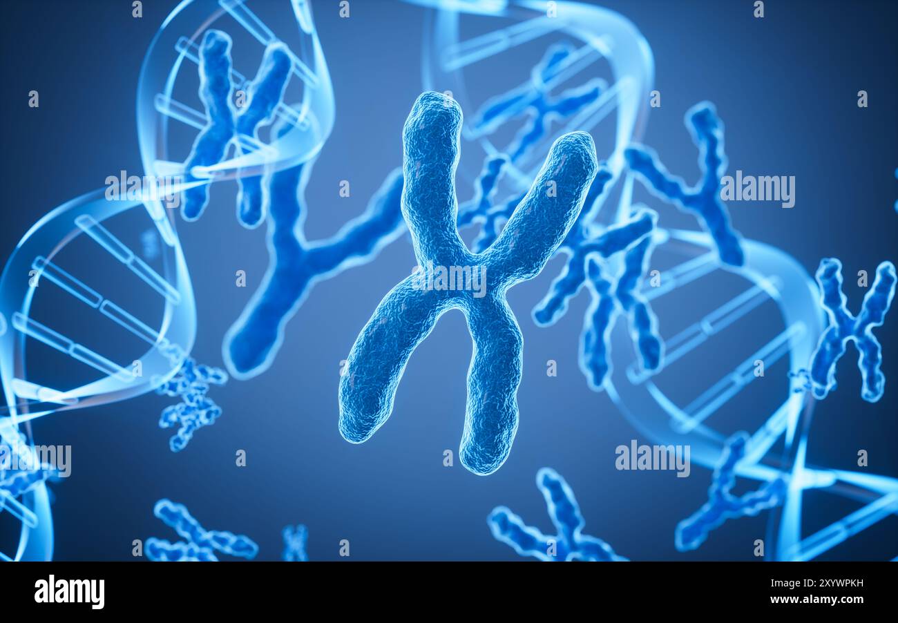 Human genes and chromosomes, 3d rendering. 3d illustration Stock Photo ...
