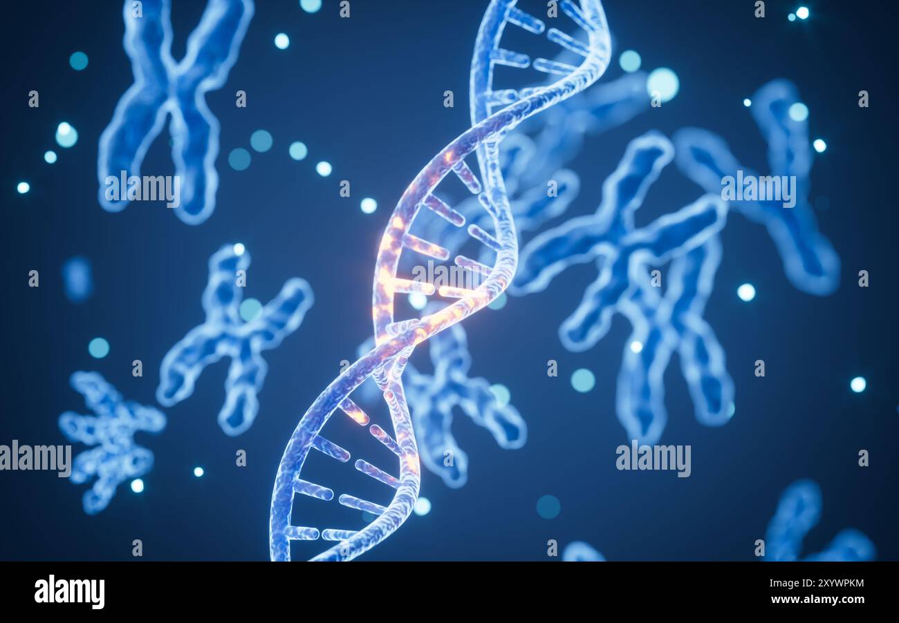 Human genes and chromosomes, 3d rendering. 3d illustration Stock Photo ...