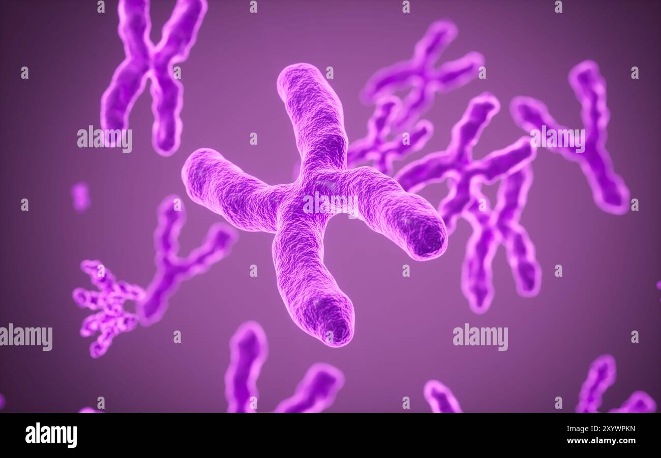 Human genes and chromosomes, 3d rendering. 3d illustration Stock Photo ...