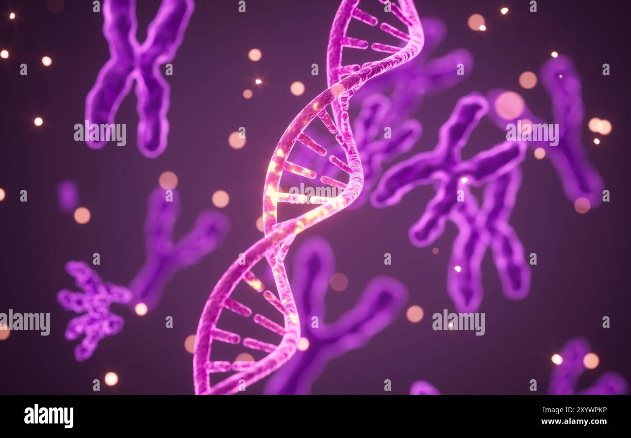 Human genes and chromosomes, 3d rendering. 3d illustration Stock Photo ...