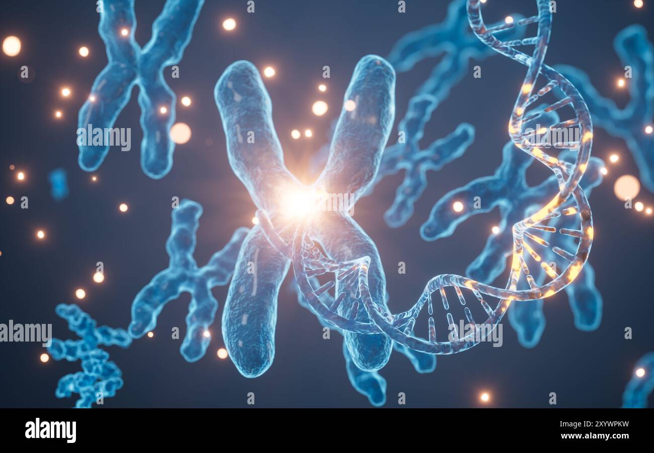 Human evolution laboratory hi-res stock photography and images - Alamy