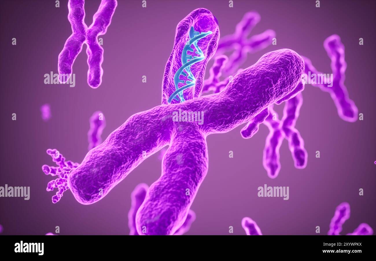 Purple genes hi-res stock photography and images - Alamy