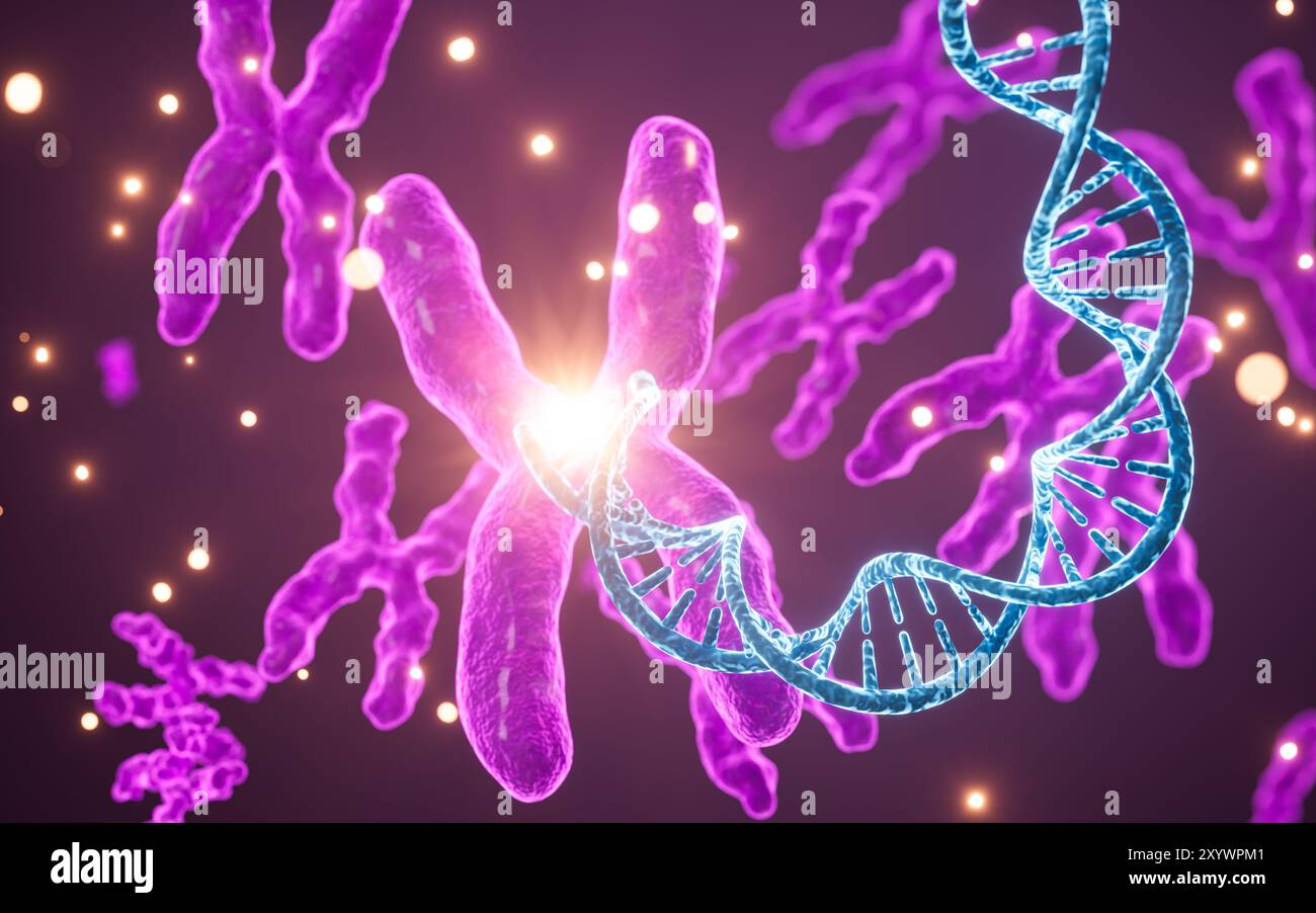 Human genes and chromosomes, 3d rendering. 3d illustration Stock Photo ...