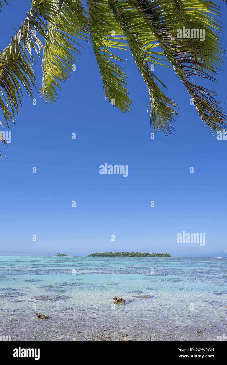 View of a motu on the horizon, Tetiaroa, Atoll, Marlon Brando Island ...