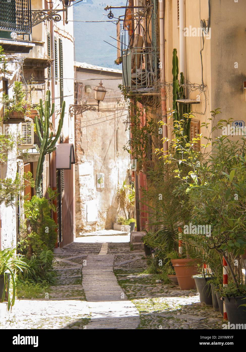 Sunny, lonely city alley with plants and old buildings with shutters ...