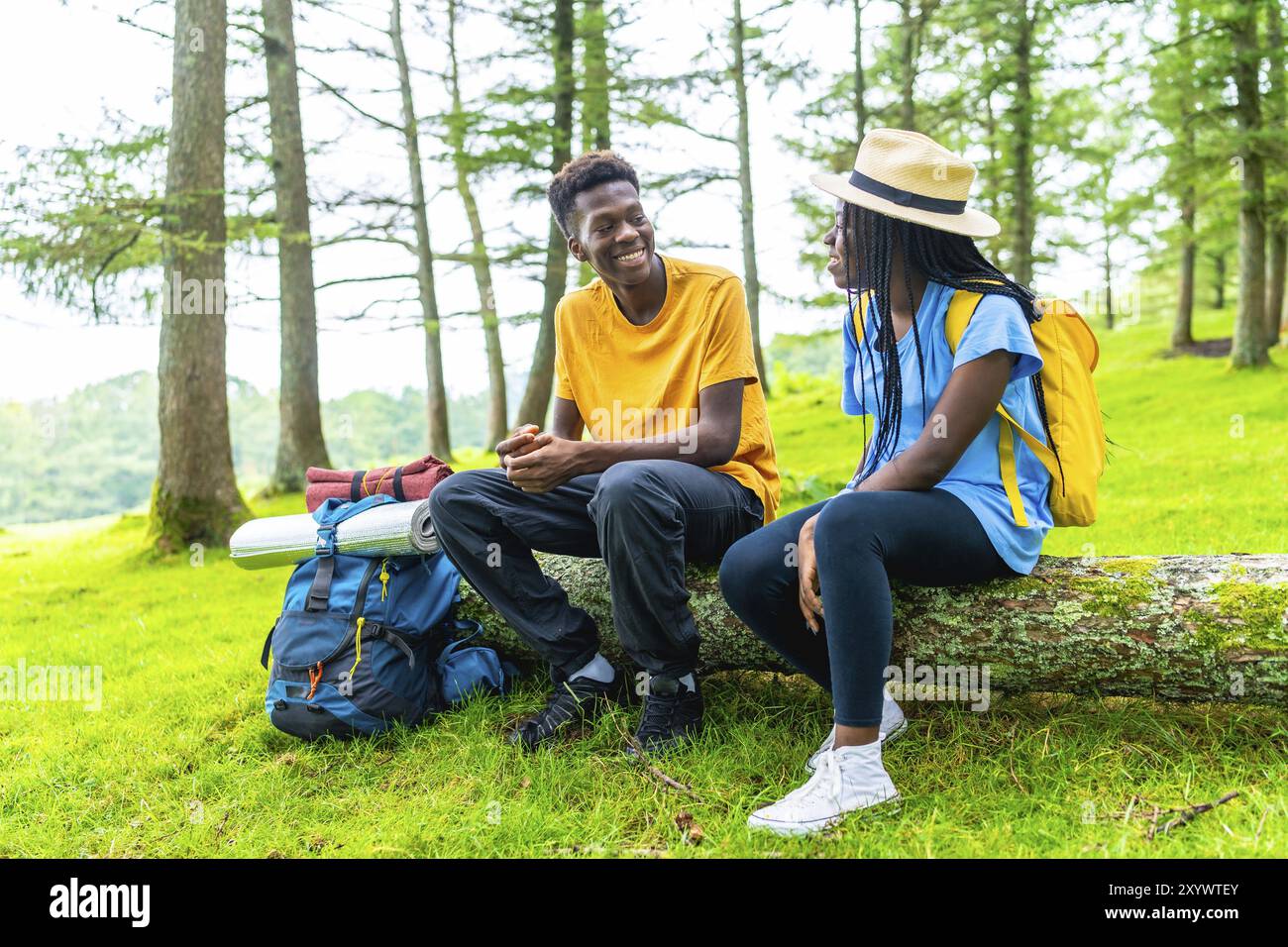 Smiling young african couple sitting on the log in the forest, relaxing ...