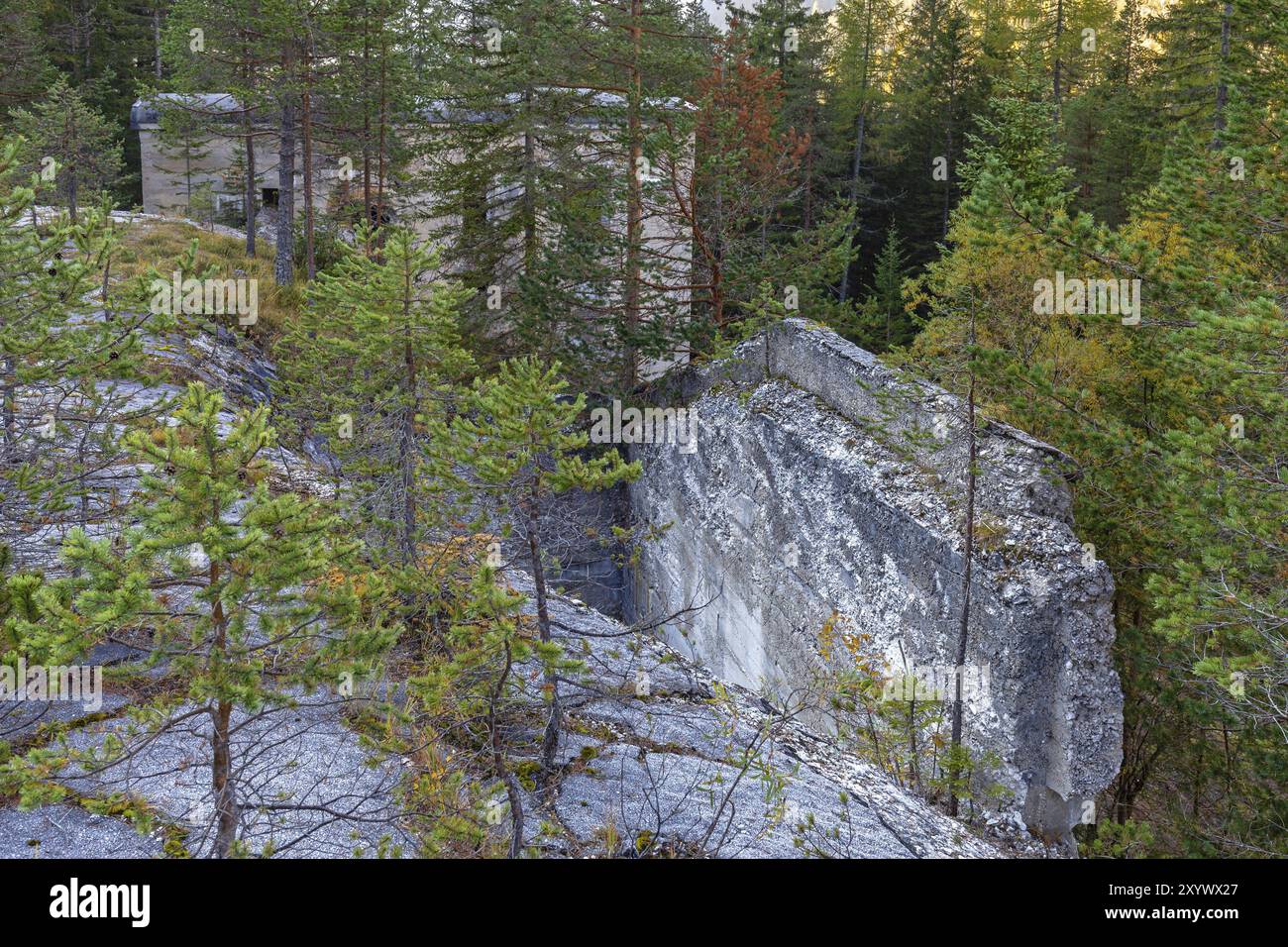 Ruins of Landro Fortress, South Tyrol Stock Photo - Alamy