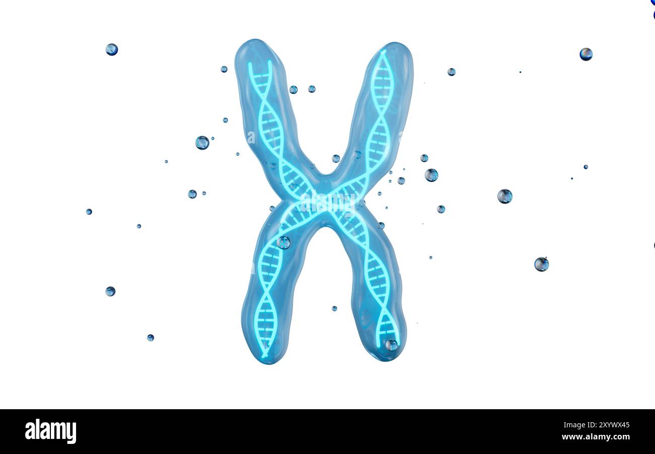 Human genes and chromosomes, 3d rendering. 3d illustration Stock Photo ...