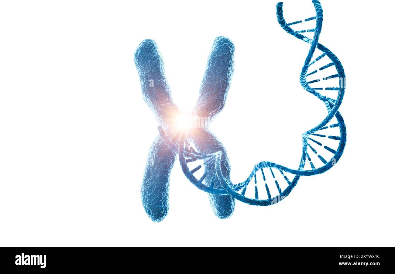 Human genes and chromosomes, 3d rendering. 3d illustration Stock Photo ...