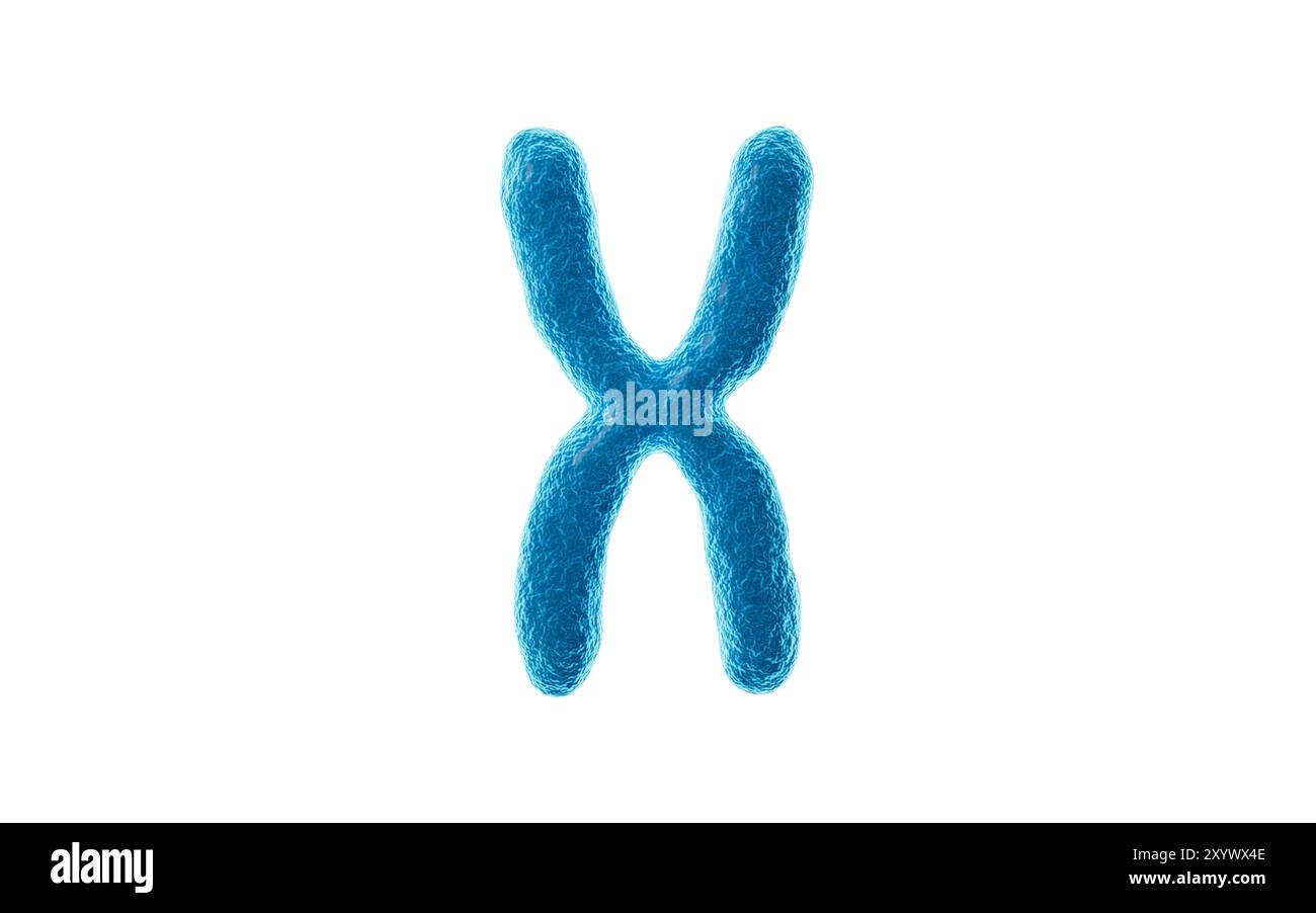Human genes and chromosomes, 3d rendering. 3d illustration Stock Photo ...
