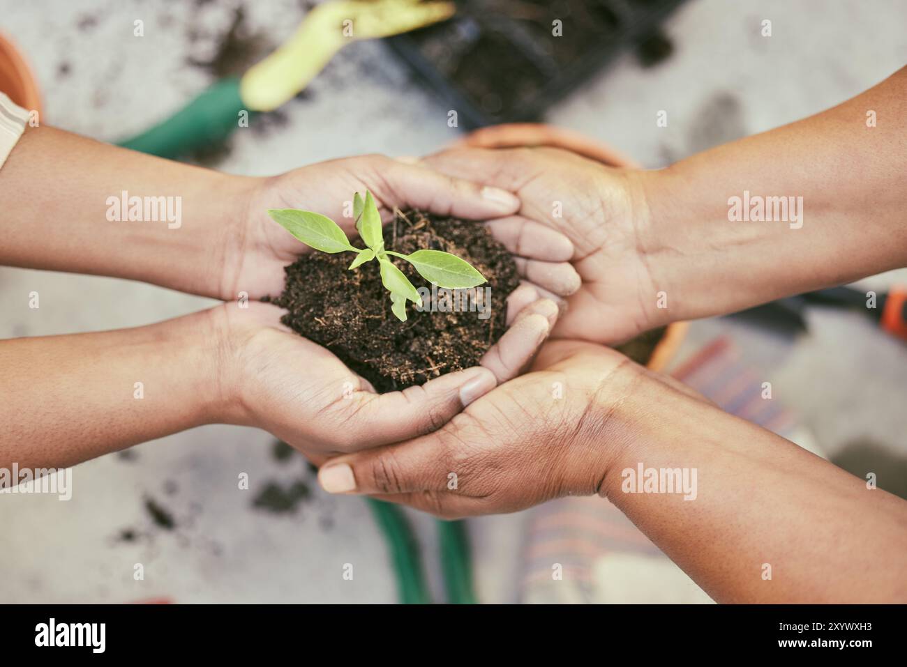 Unity, support and hands with soil and plant for eco friendly ...