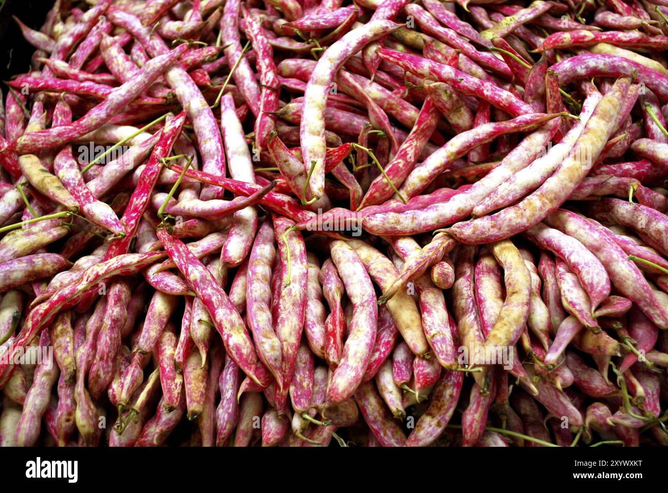 Many red string beans on a market stall Stock Photo - Alamy