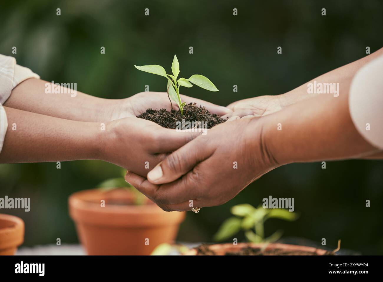 Unity, environment and hands with soil and plant for eco friendly ...