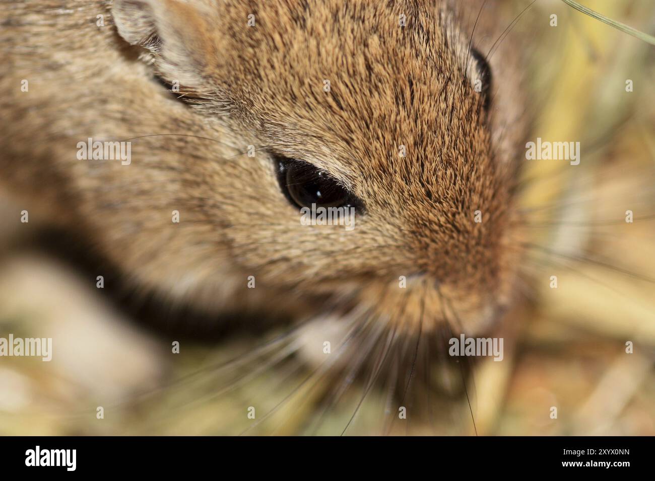 Air china southern eastern hi-res stock photography and images - Alamy