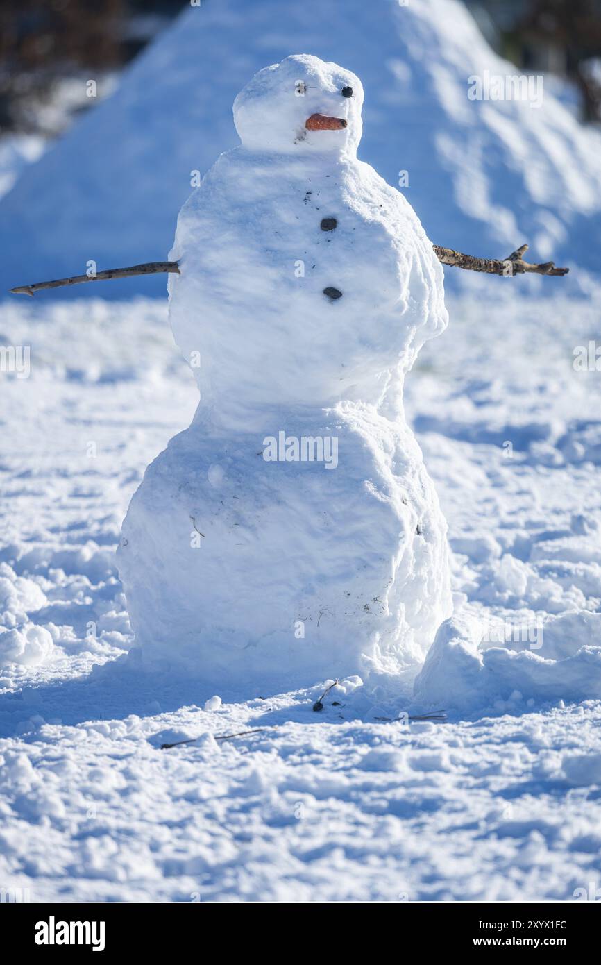 Lonely snowman in a snowy field Stock Photo - Alamy