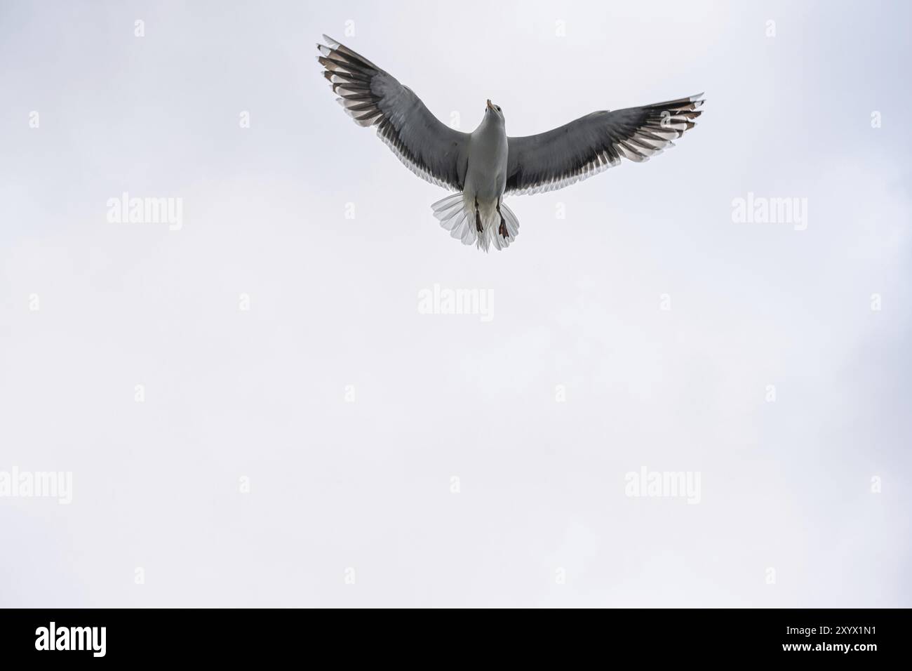 Dull day at sea hi-res stock photography and images - Alamy