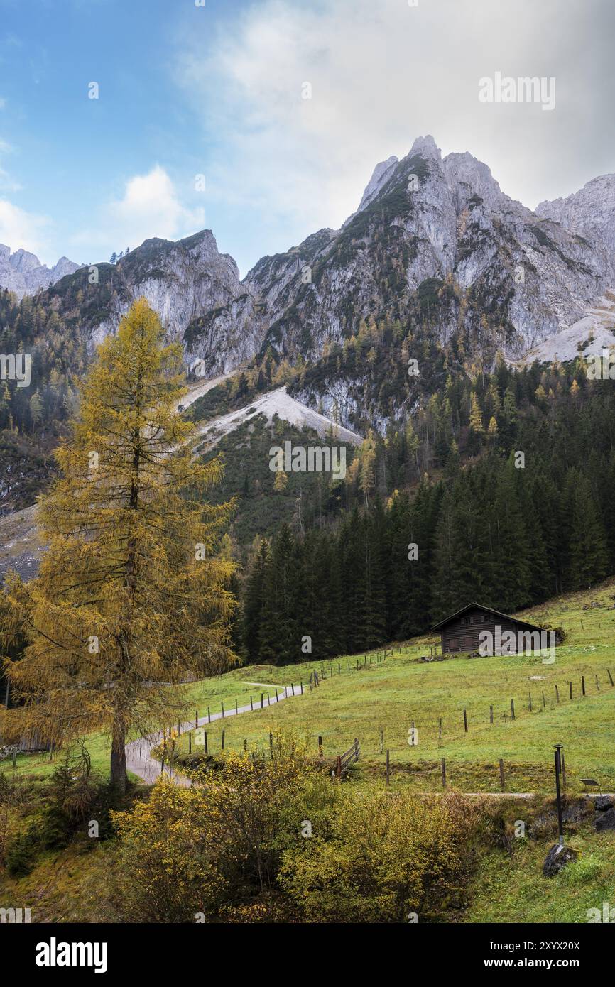 View of the Gosaukamm and the hiking trail around the Vorderer Gosausee ...
