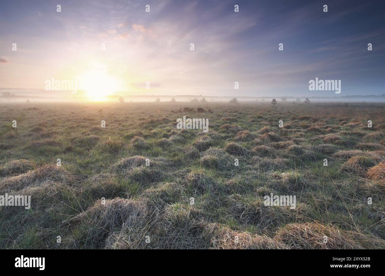 Sunrise is marsh hi-res stock photography and images - Alamy