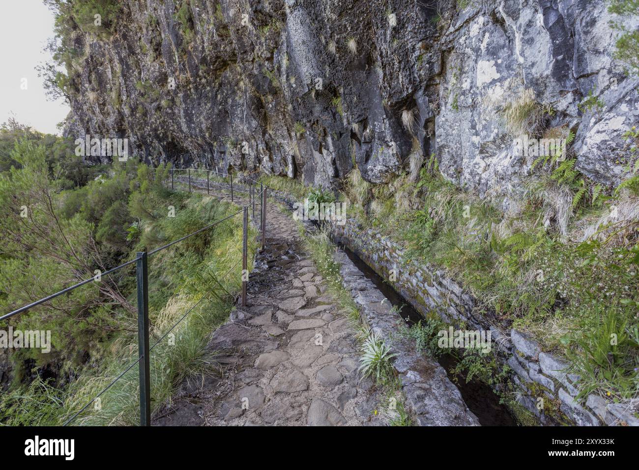 Levada high in madeira hi-res stock photography and images - Alamy