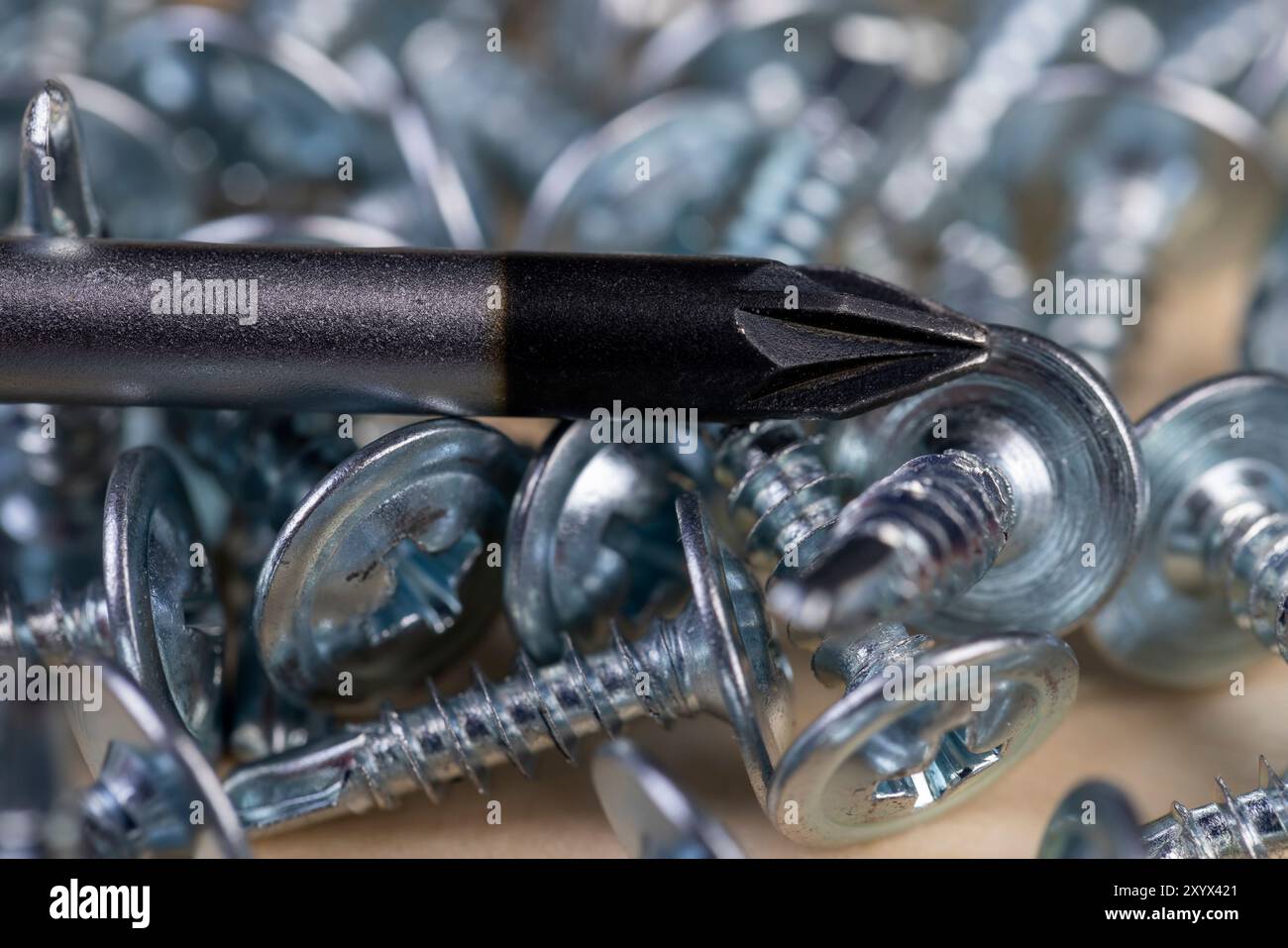 steel self tapping screws for working with wooden products , self ...