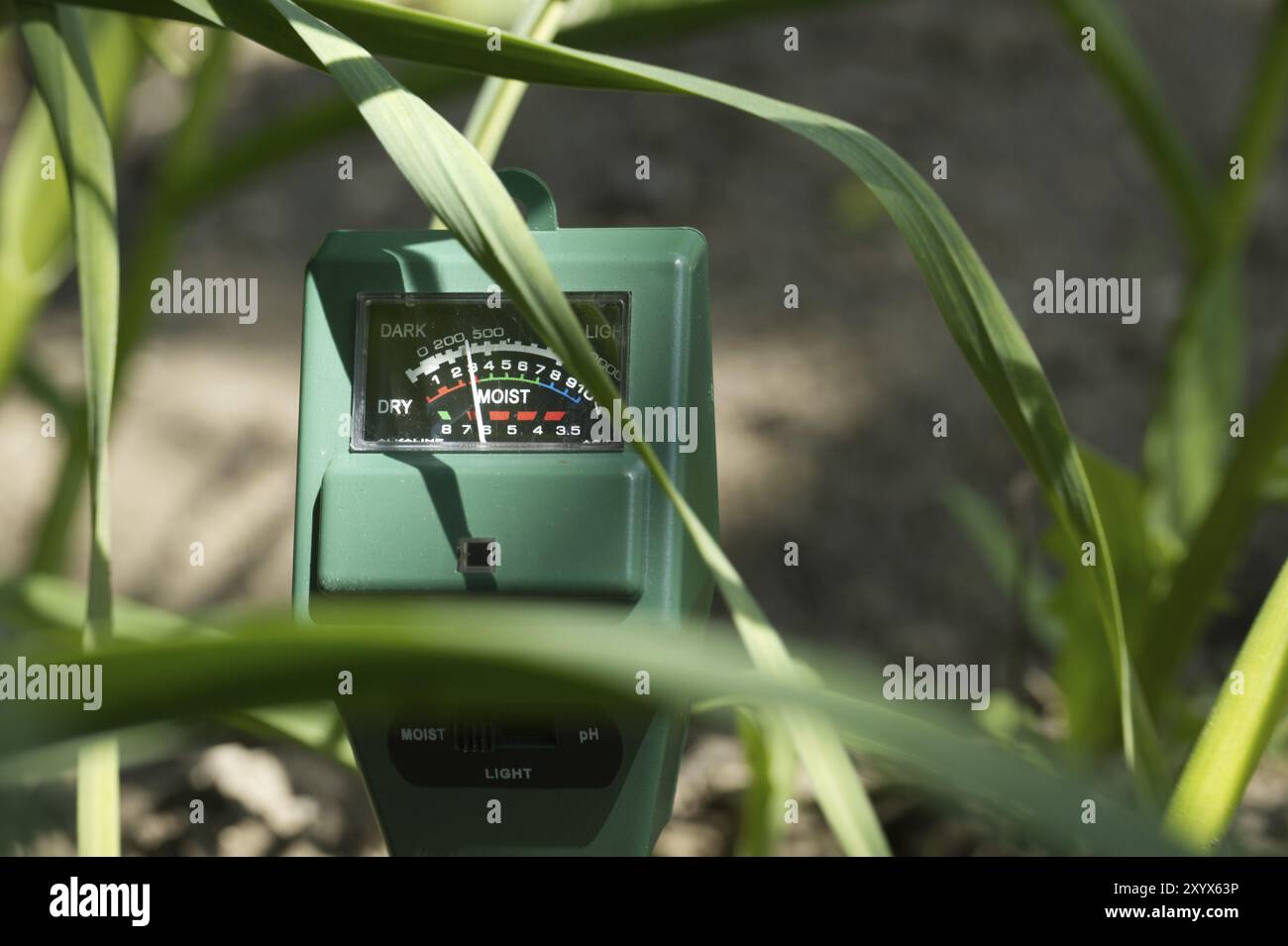 Green plants and three way meter PH, light and moisture in the soil ...