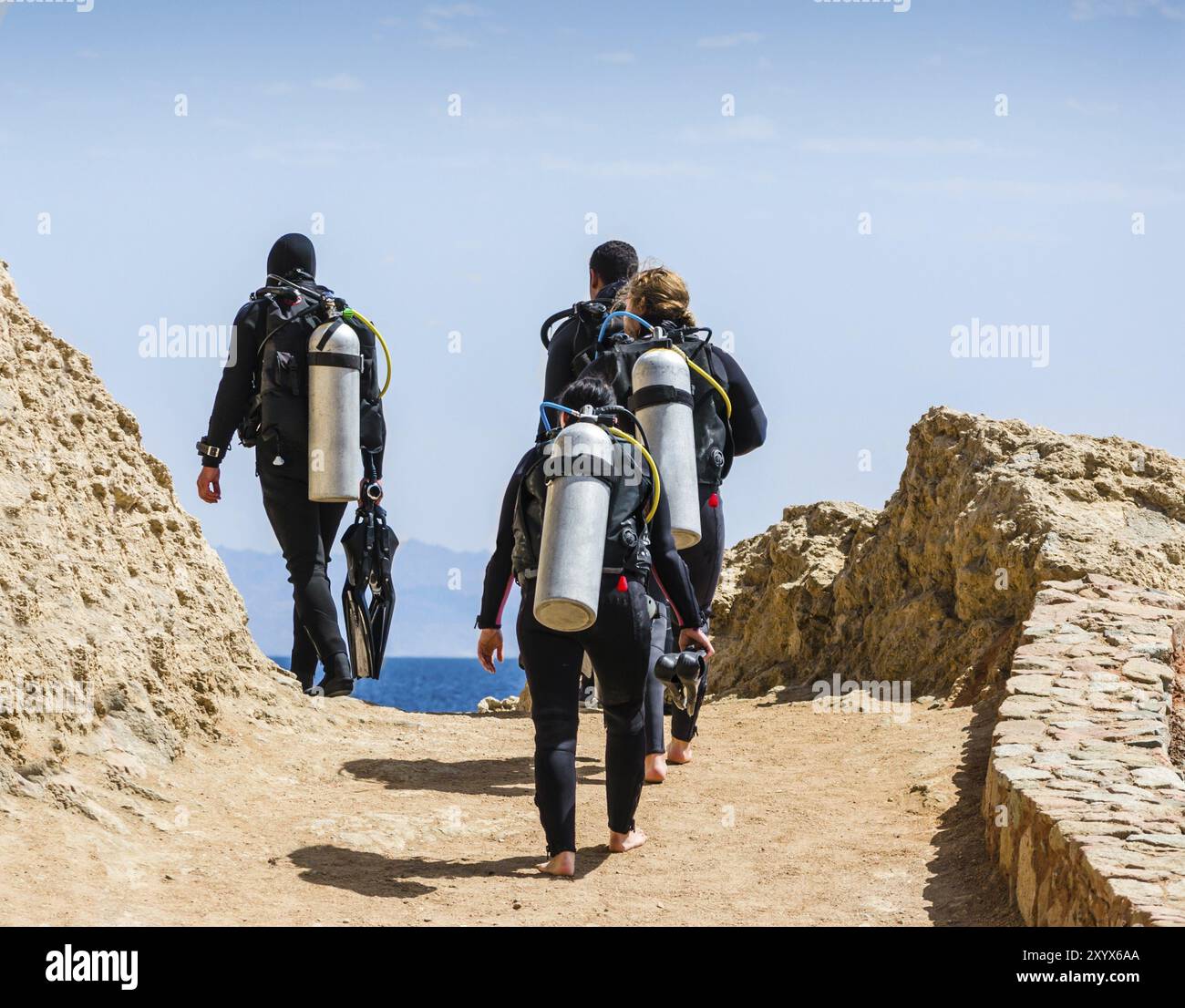 Group of divers with equipment for diving go to the sea against the ...
