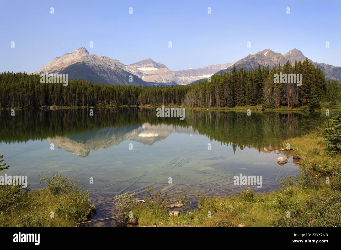 Herbert Lake in Banff National Park in Alberta Canada Stock Photo - Alamy
