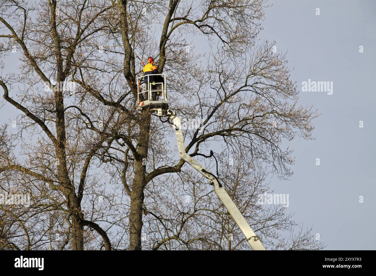 Yard prunings hi-res stock photography and images - Alamy