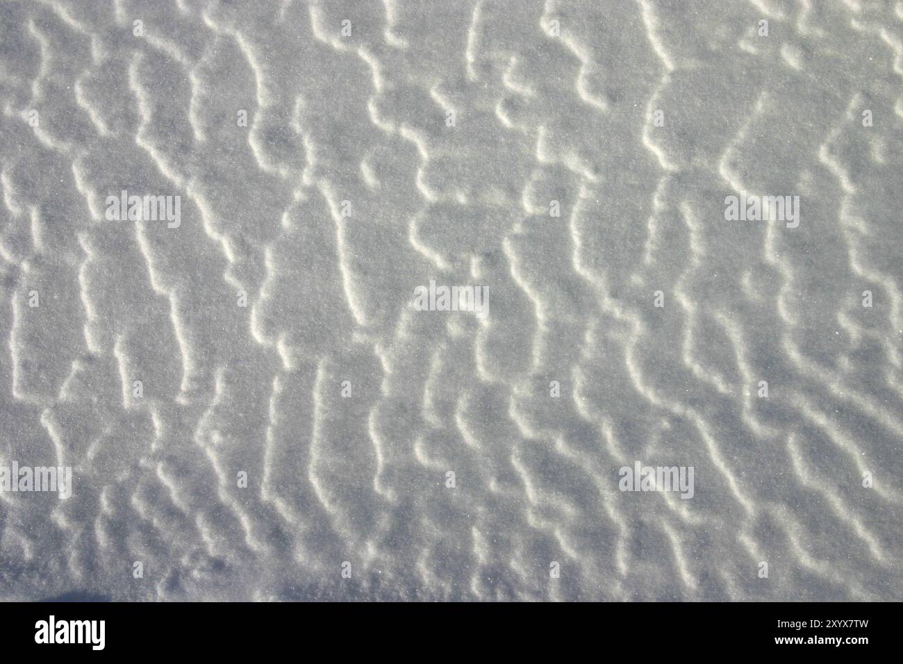 Here the wind formed the wave structure of the white splendour Stock ...