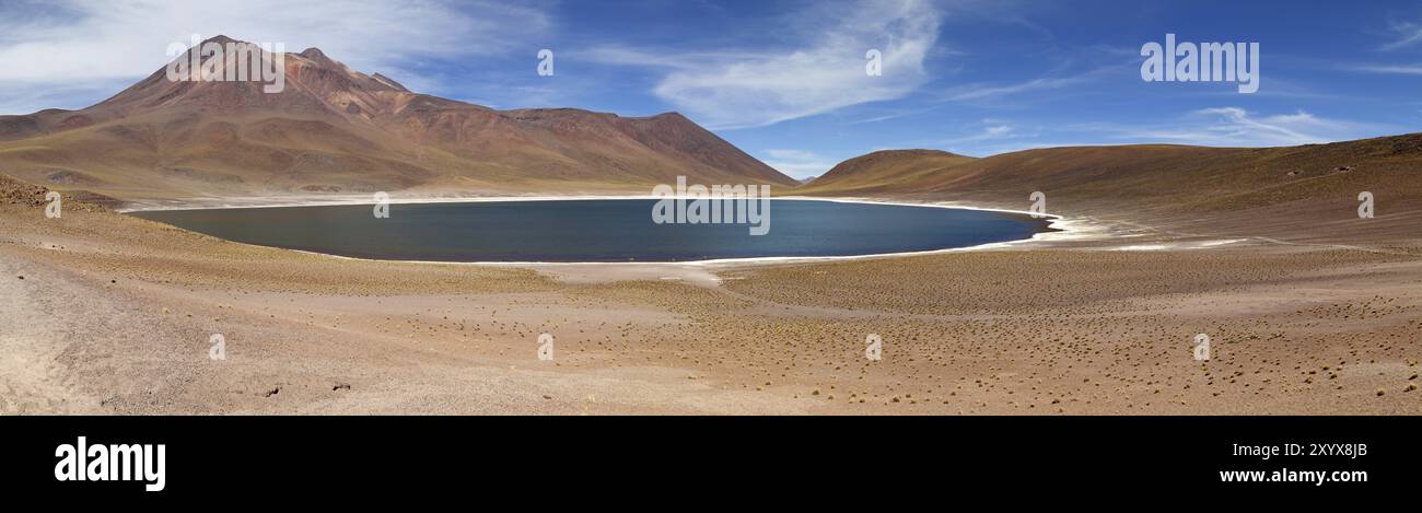 Laguna Miniques in the Atacama Desert in Chile Stock Photo - Alamy