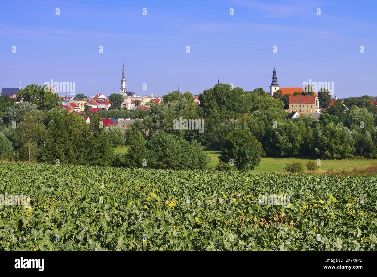 Frankenstein in schlesien the town frankenstein in silesia hi-res stock ...