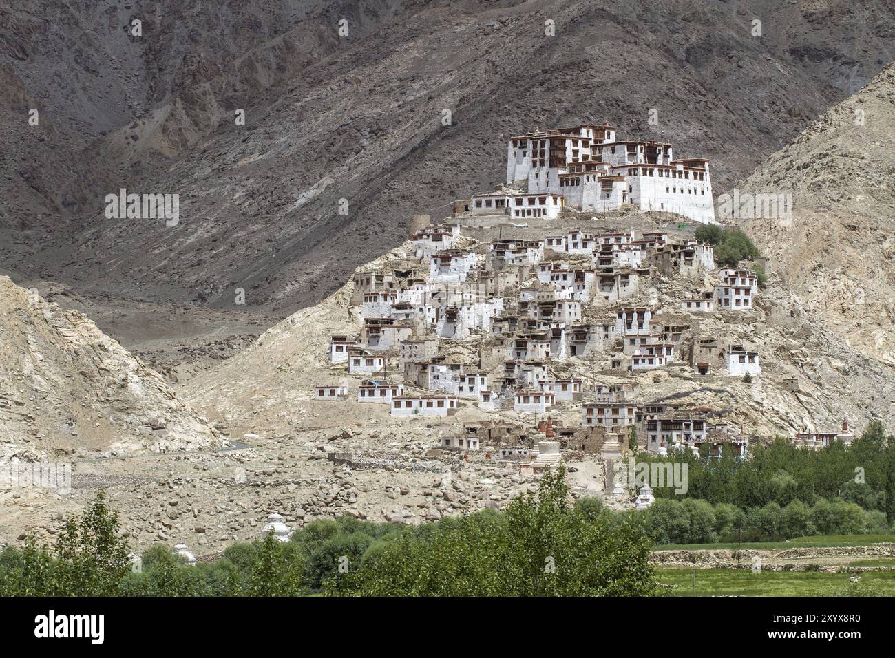 The Buddhist monastery Chemre in Ladakh, India, Asia Stock Photo - Alamy