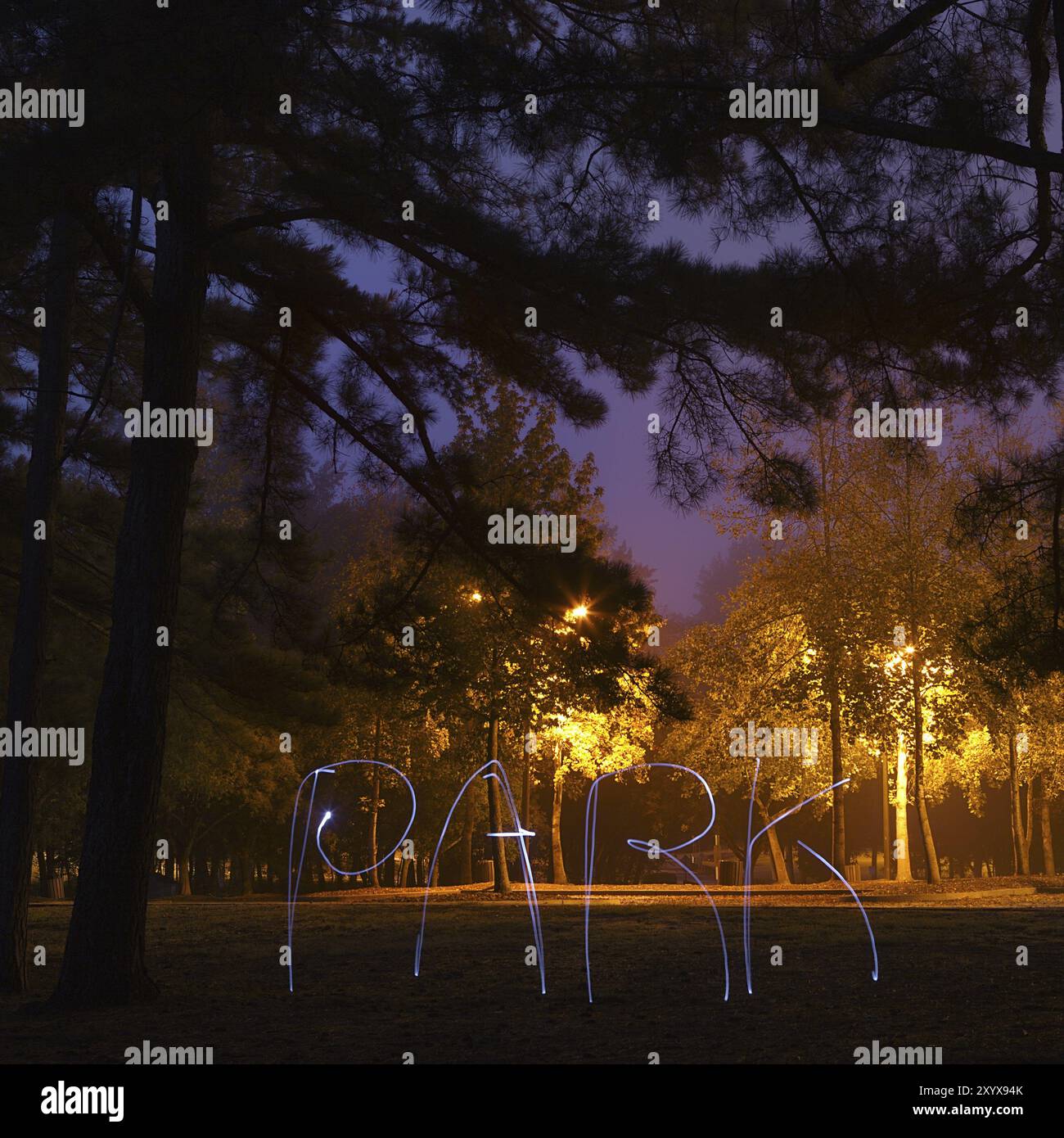 Early morning park. Word park written by light Stock Photo - Alamy