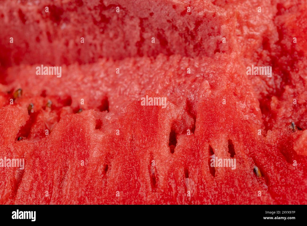 red juicy watermelon flesh close-up, details of a red watermelon Stock ...