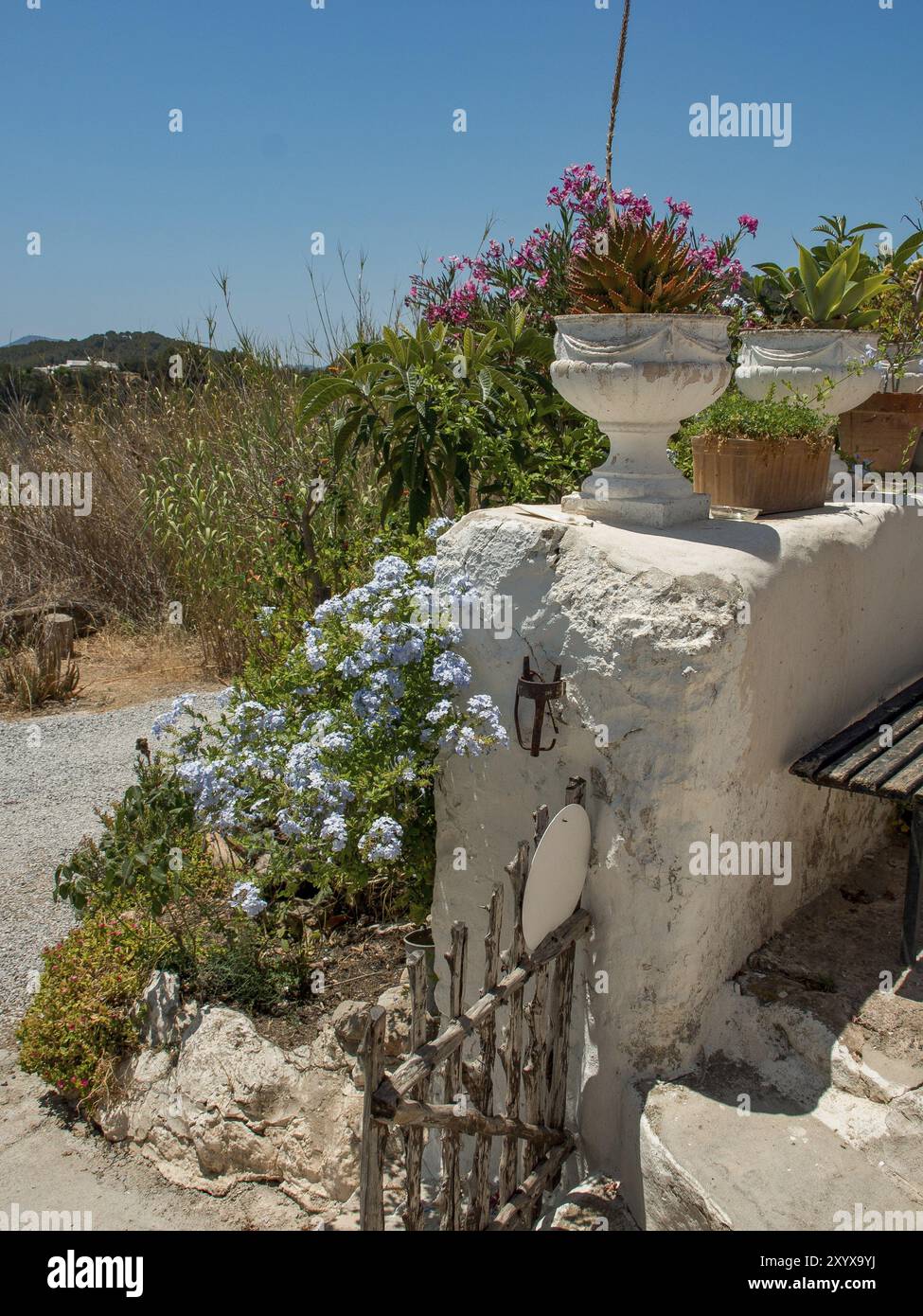 Mediterranean scene with flowering plants, an old stone wall and rustic ...