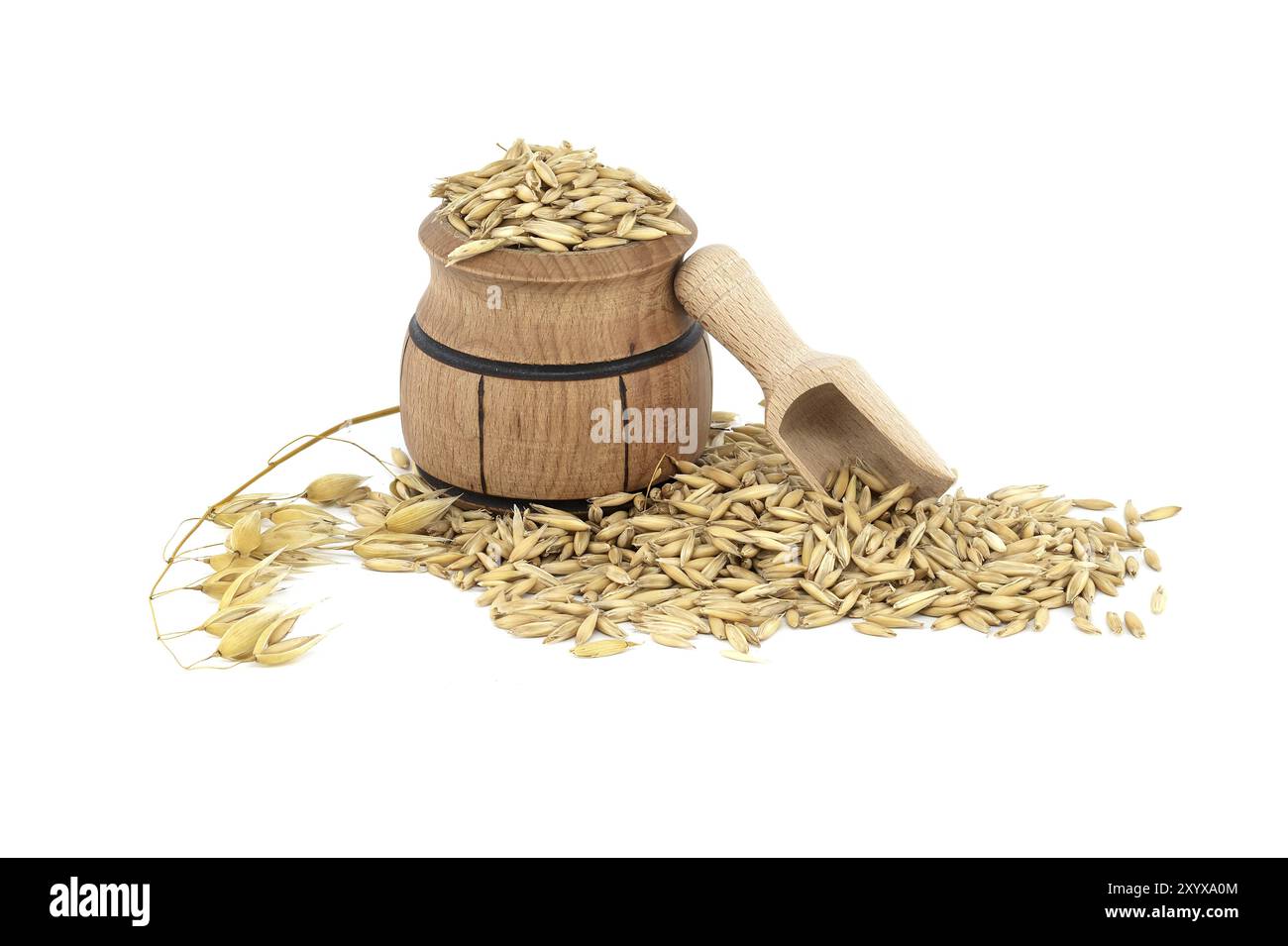 Oat grains with hulls or husks in small wooden barrel isolated on a ...