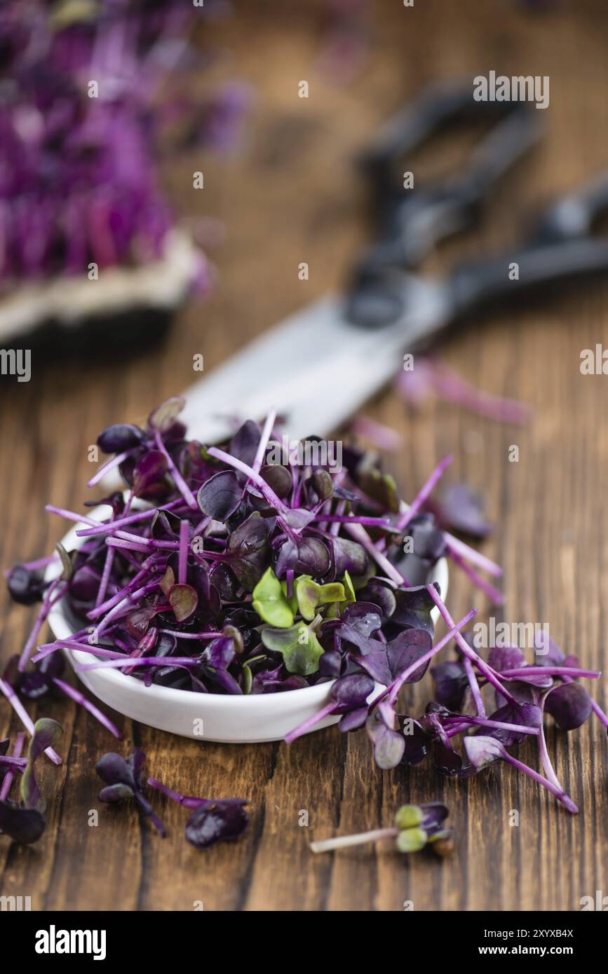 Cutted Cress on a vintage background as detailed close-up shot ...
