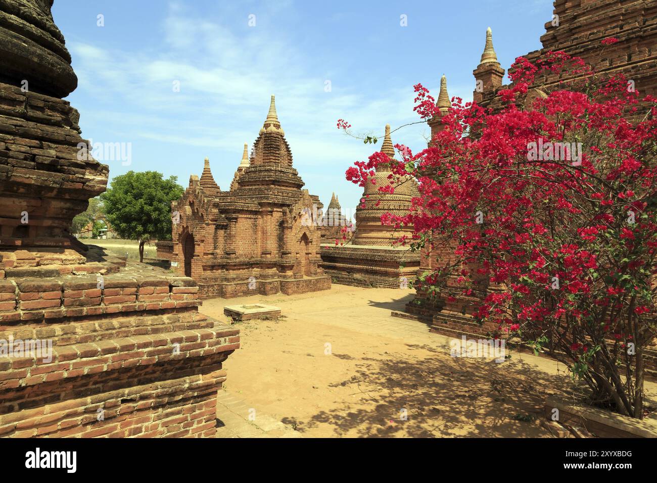 Temple refurbishment hi-res stock photography and images - Alamy
