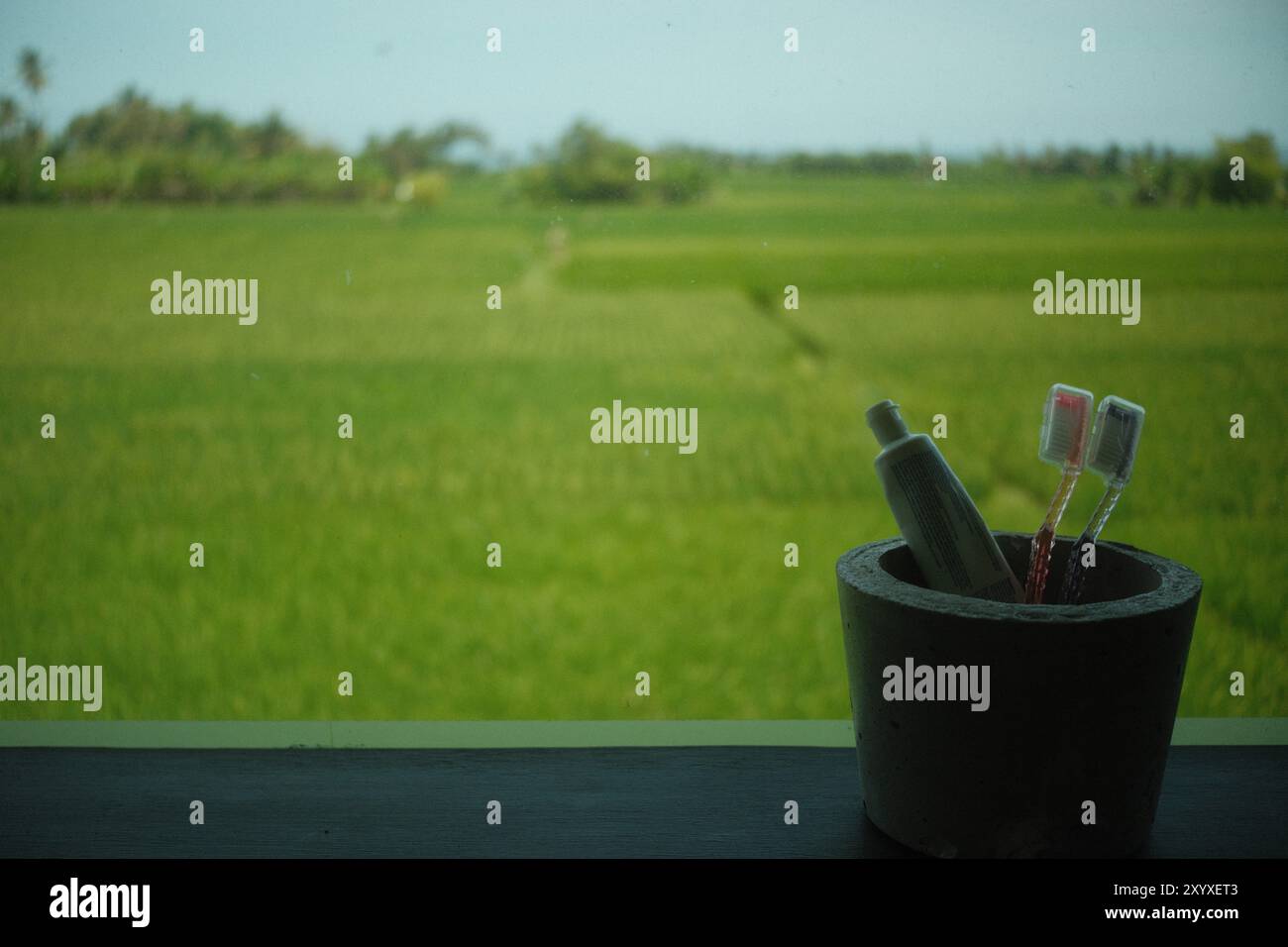 Toothbrush and toothpaste products with a rice field scenery landscape ...