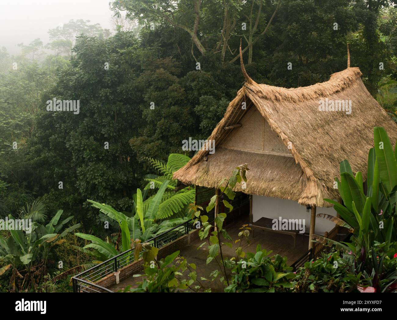 House with traditional architecture and thatched roof surrounded by ...