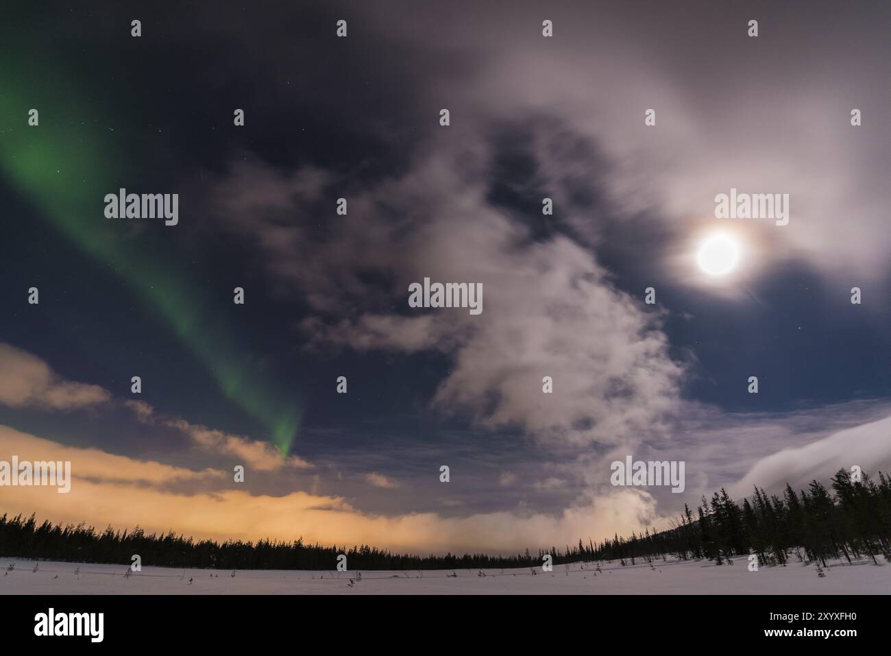 Northern Lights over winter landscape, Gaellivare, Norrbotten, Lapland ...