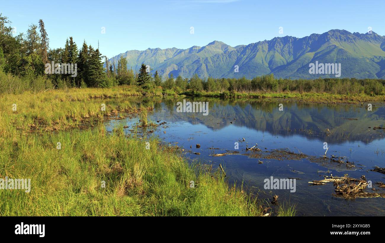 Swampy landscape alaska hi-res stock photography and images - Alamy