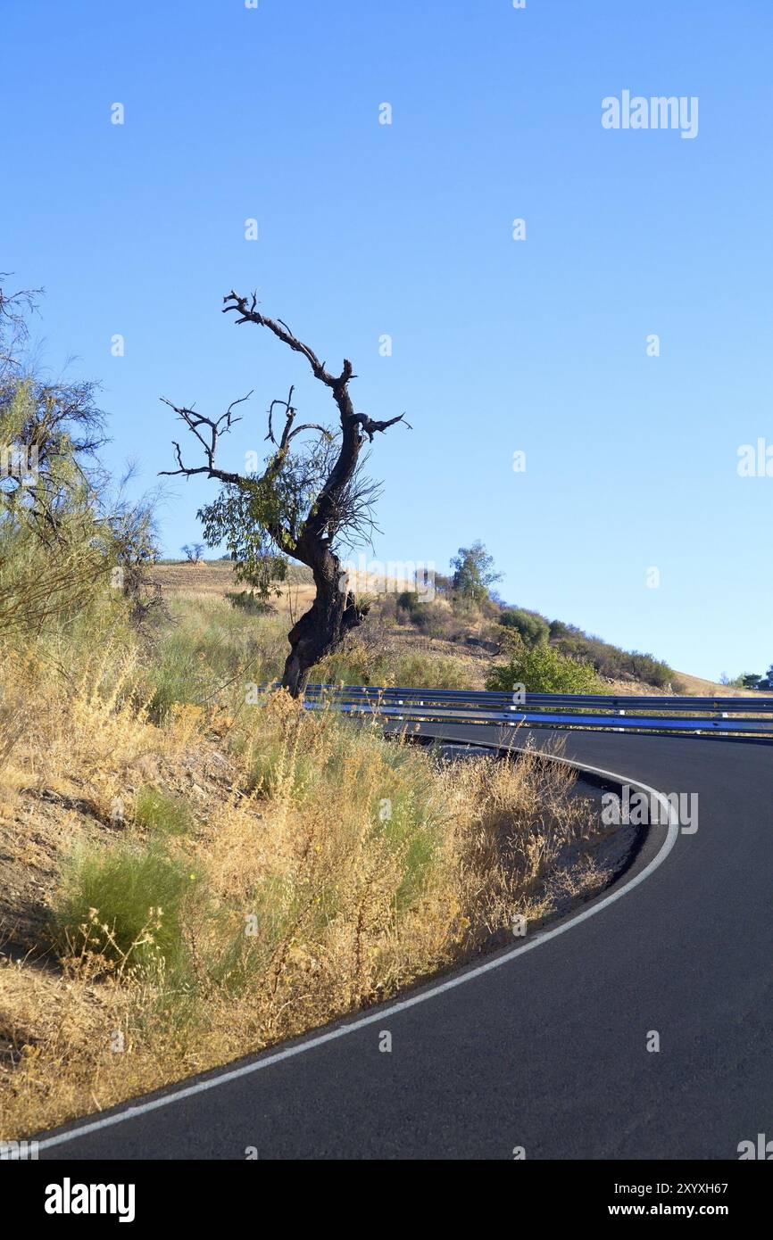 Curved asphalt road in Andalusia, Spain, Europe Stock Photo - Alamy