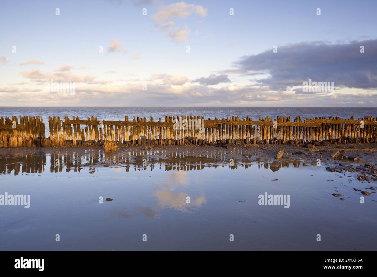 Old wooden Dutch dike in North sea Stock Photo - Alamy